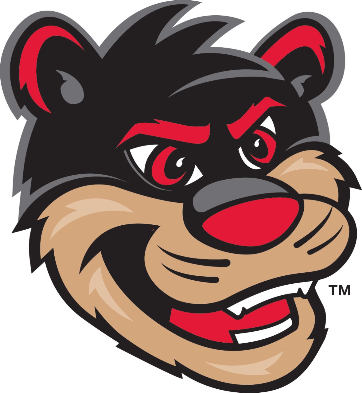 Printable Swag - University of Cincinnati Admissions | University Of ...